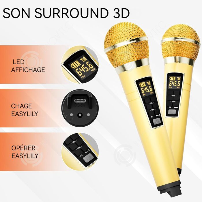 INN Microphone sans fil 2x10w 32x18x19cm 7,4 V 2000mAh Amplification Et ...