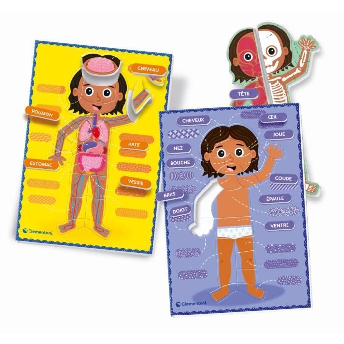 Montessori - Clementoni - Le Corps Humain - Jeu éducatif pour apprendre ...