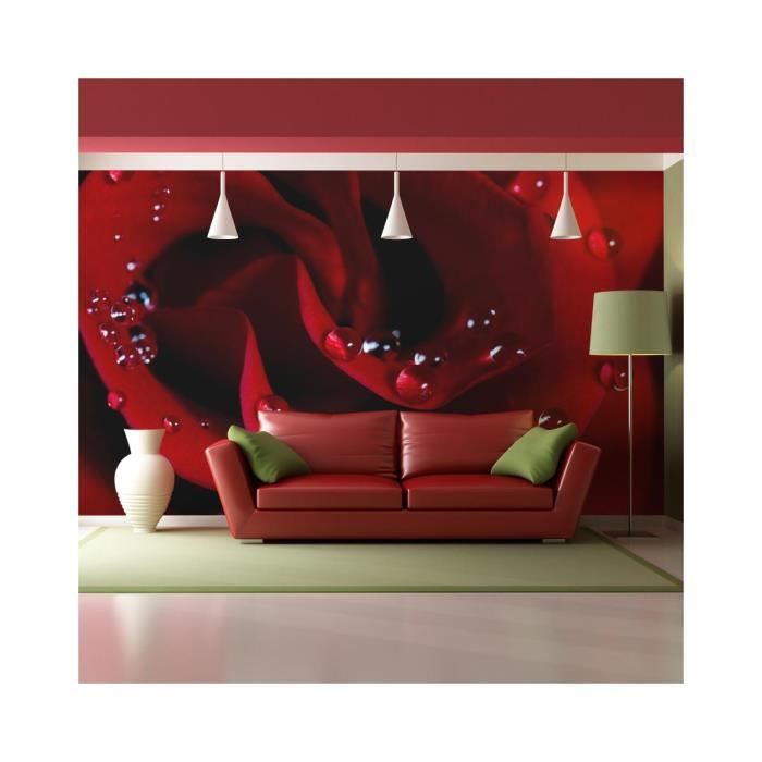 Papier Peint Rose Rouge Et Gouttes De Rosée - Dimension - 400x309 ...