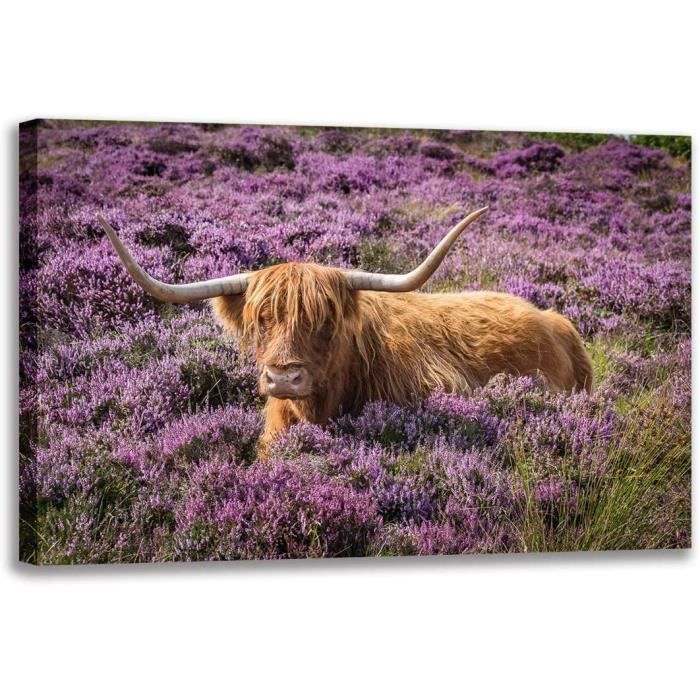 Highland Vache parmi les fleurs Poster mural Impression sur toile Motif ...