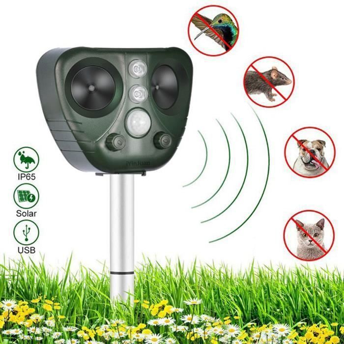 Repulsif Ultrason Chat Repulsif Chat Ultrason Etanche IP66 Rpulsif Chat ...