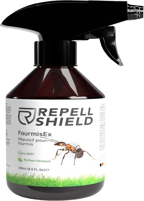 Spray Anti Fourmis Maison & Jardin - 250ml - sans Tache ni Résidu ...
