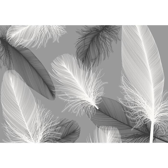 Papier Peint Plumes Noir Et Blanc Murales Salon Adulte 3d Moderne Haute ...