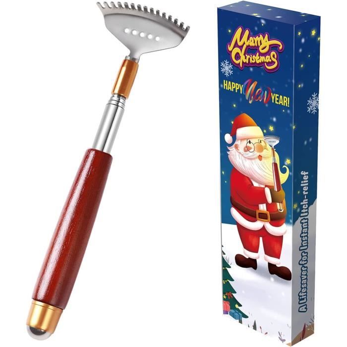 Gratte-dos télescopique en acier inoxydable - Longue poignée - Extensible jusqu'à 61 cm - Gratte ...