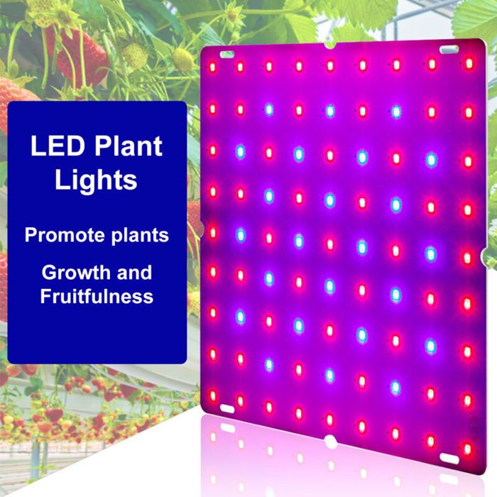 Panneau LED Quantum Panel, spectre rouge bleu, lampe croissance pour ...
