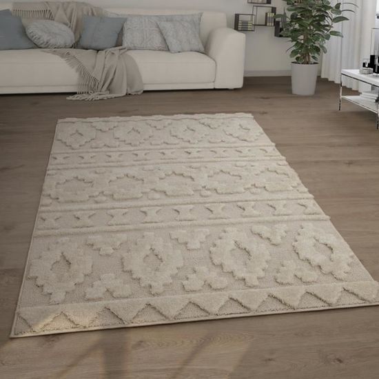 Paco Home Tapis Poils Longs Salon Shaggy Aspect 3D Ethnique Scandinave Doux Crème Beige 60x100 ...