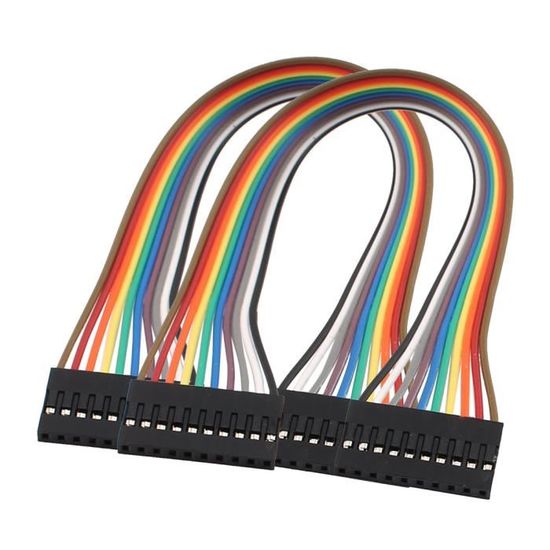 2PCS 2.54mm 10P Femelle Breadboard câble pontage Double tête 20cm long ...