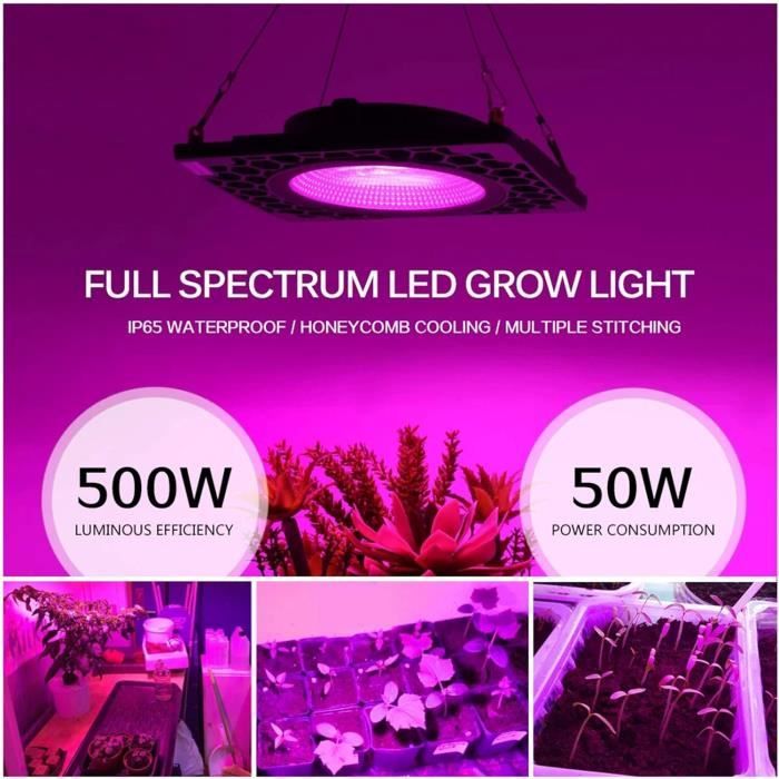 50W LED élèvent La Lumière COB Lampe De Croissance LED à Spectre ...
