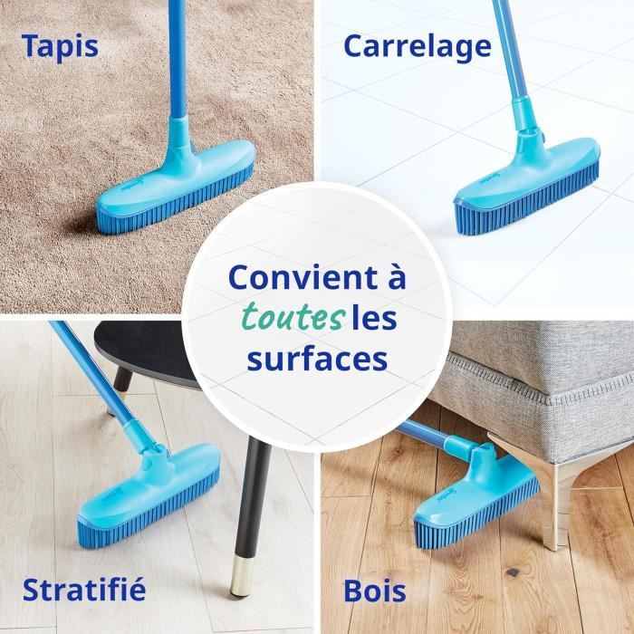 Spontex - Pelle et balayette en caoutchouc Catch Clean pour poils d ...