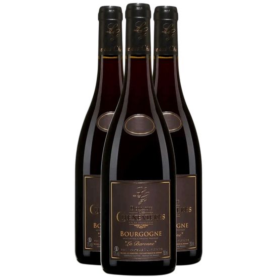 Domaine des Chenevières Bourgogne La Baronne 2022 - Vin Rouge de ...