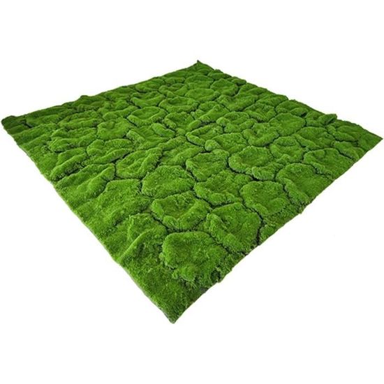 Mousse Murale Végétale Artificielle Pour Fausse Pelouse Scène Herbe ...