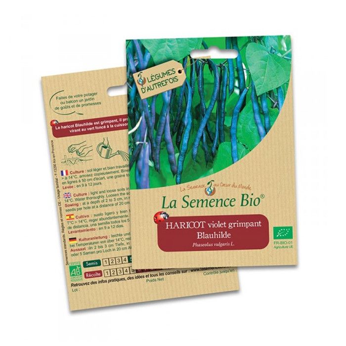 Haricot Blauhilde - 75 gr - La Semence Bio - Cdiscount Au quotidien