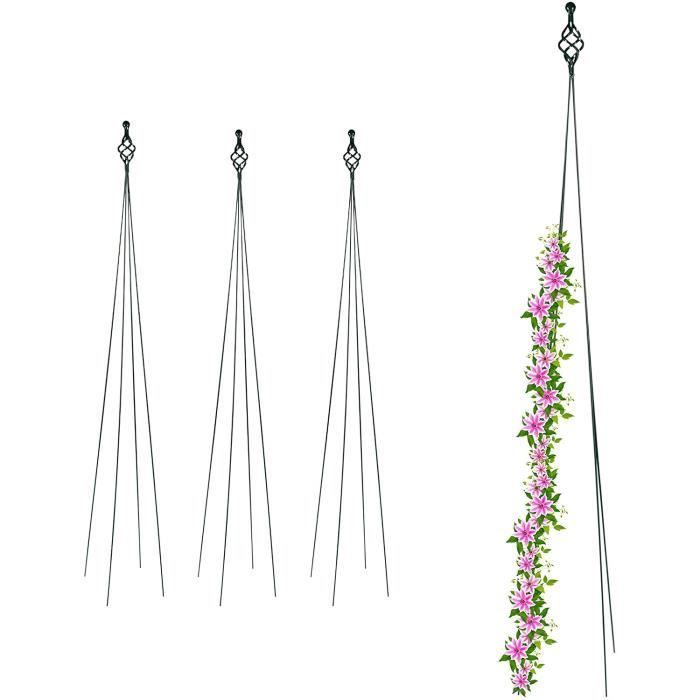 Tuteur à Plantes, Lot de 4, Support pour rosiers grimpants de Jardin ...