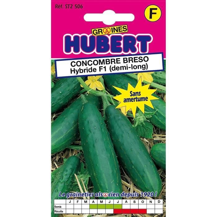 20 Graines de Concombre Breso Hybride F1 (demi-long) [425] - Cdiscount ...