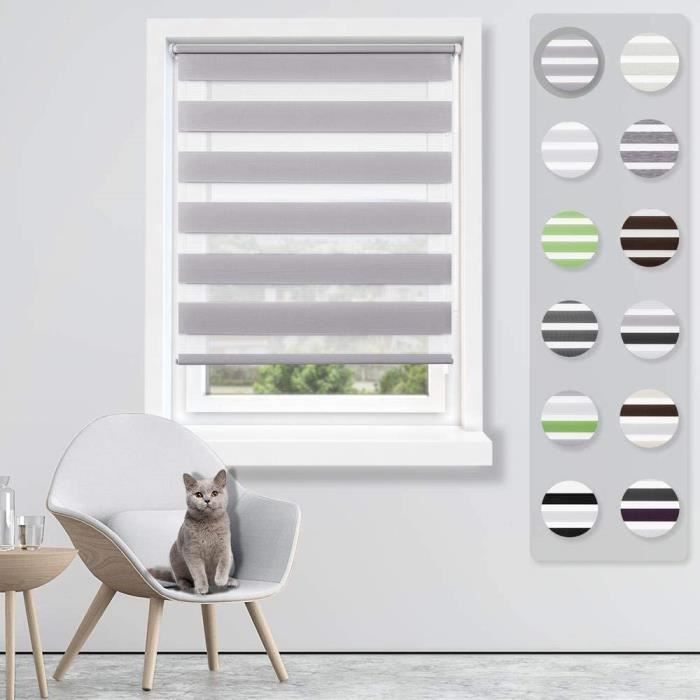 Double Store Enrouleur 60 x 230 CM GrisStore Jour Nuit Tamisant Zébré ...