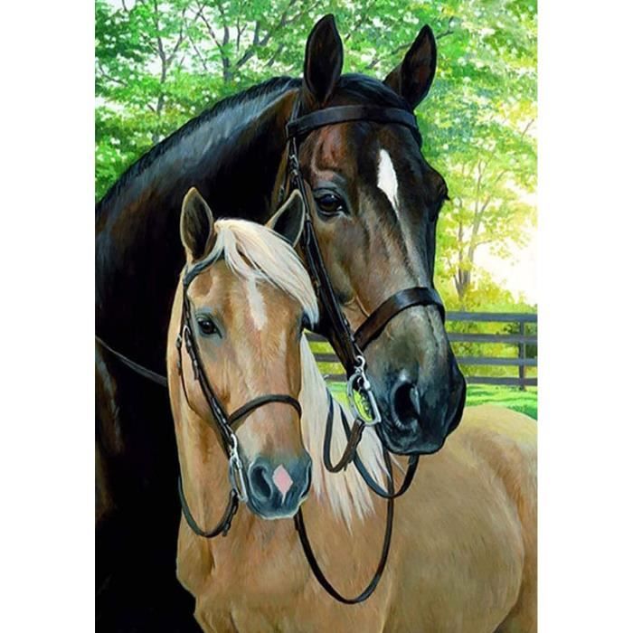 Peinture au Numero DIY Cheval Paint by Number Kit Peinture Par Numéros ...