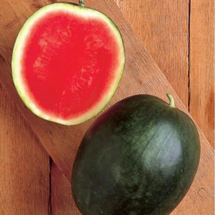 30 Pcs Rouge Pastèque Sans Pépins Graines Légumes Maison Organique ...