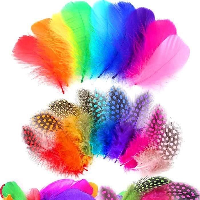 300 pièces Plumes De Multicolore,Plumes Colorées,Naturelle Plumes ...