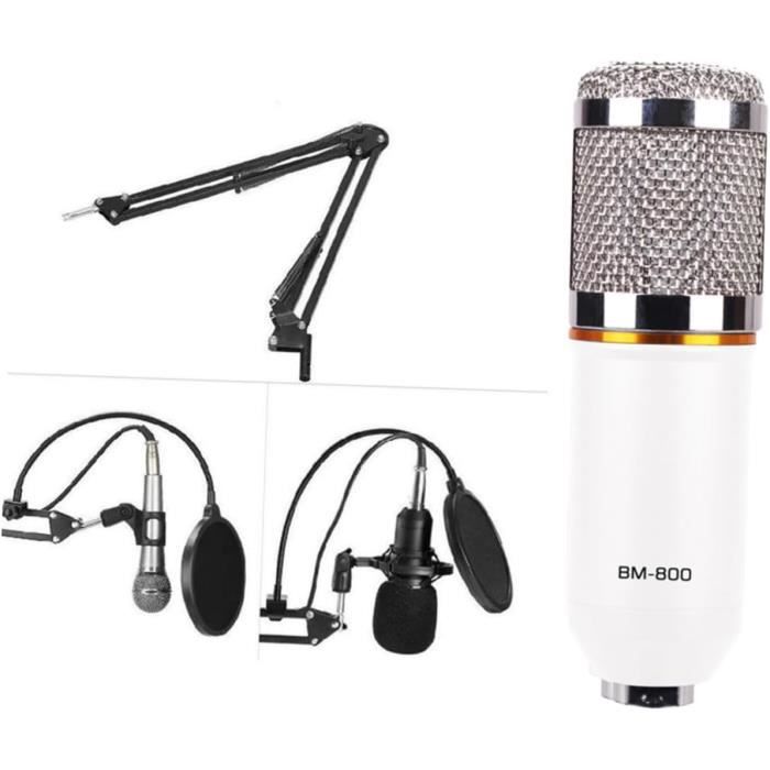 Microphone À Condensateur Professionnel Microphone Pro Microphone ...