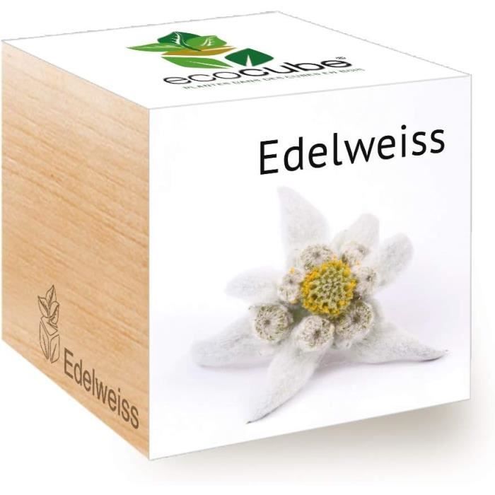 Ecocube Edelweiss, Idée Cadeau (100% Ecologique), Grow-Your-Own-Kit ...