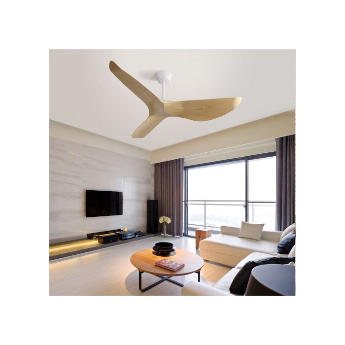 Ventilateur Plafond Silencieux