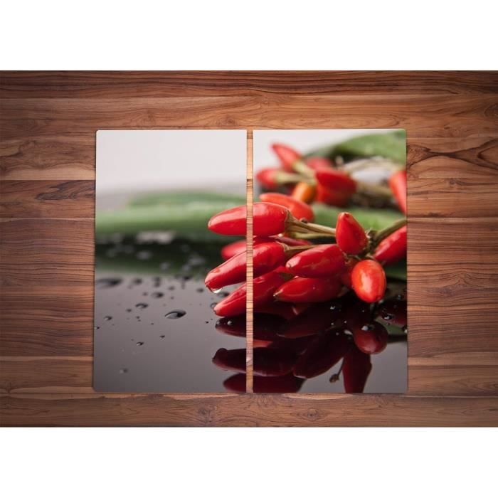 Lot de 2 cache-plaques en verre (30 cm x 52 cm) - Protection anti ...