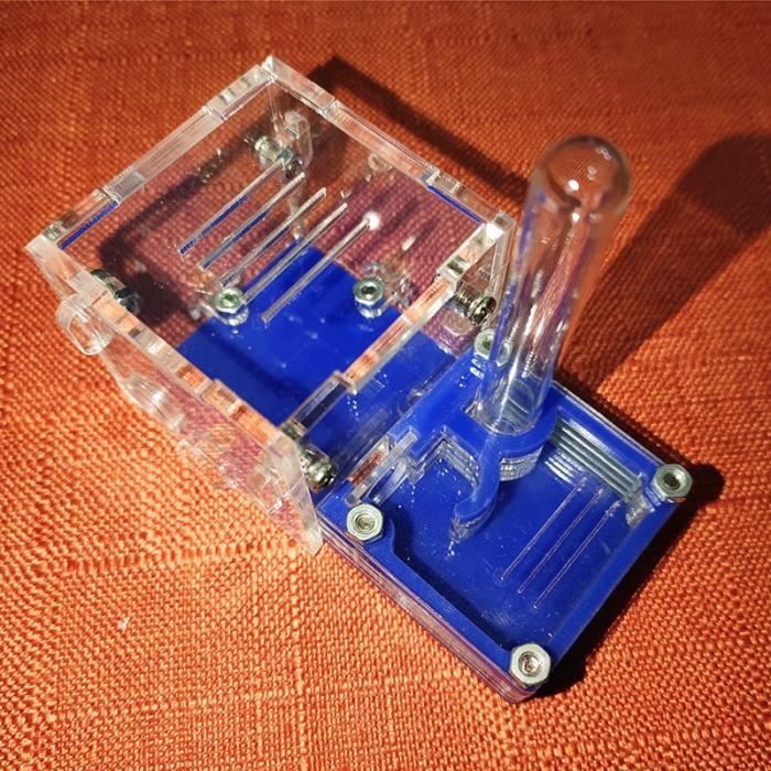 Valeur Couleur-11 Mini nid de fourmis reine, atelier de fourmis ferme ...