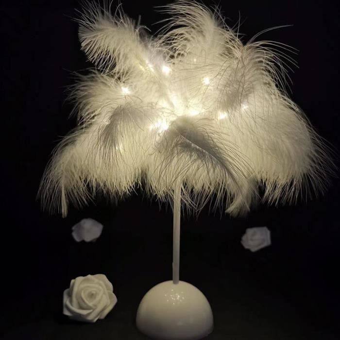 Belle veilleuse décorative en plumes, guirlande de cuivre LED ...