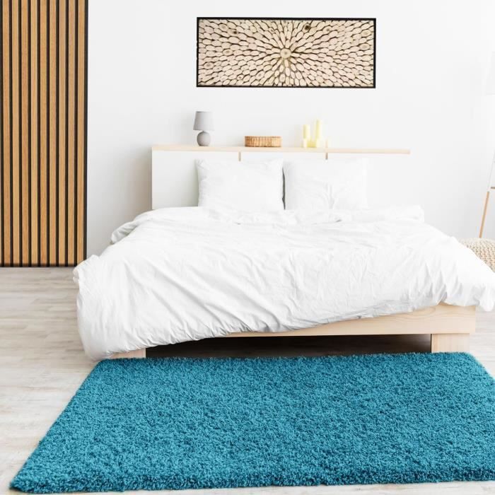 Prime Tapis Shaggy Couleur Shaggy Poils Tapis Moderne Pour Salon Chambre, Dimensions: 150 Cm ...