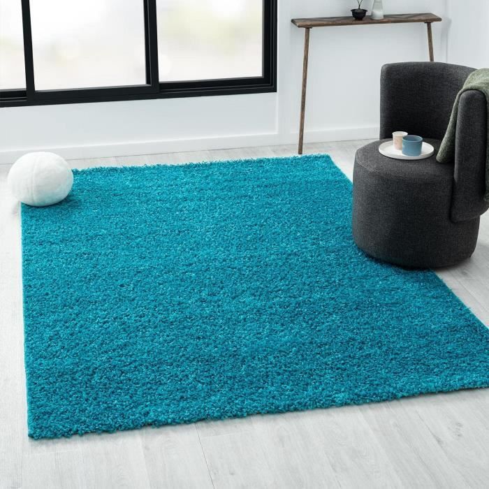 Prime Tapis Shaggy Couleur Shaggy Poils Tapis Moderne Pour Salon Chambre, Dimensions: 150 Cm ...