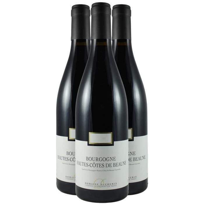 Bourgogne Hautes Côtes de Beaune - Rouge 2020 - Domaine Duchemin - Vin ...