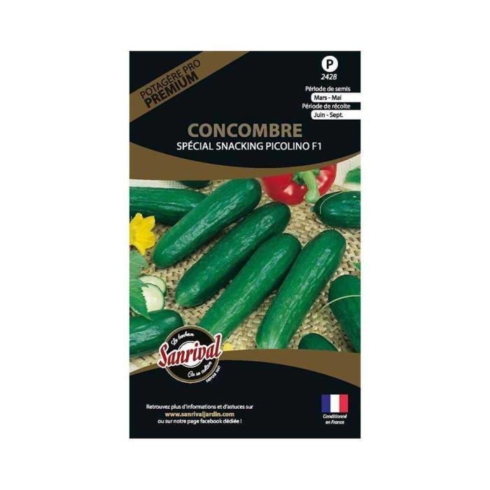 Graines potagères premium concombre Picolino mini snacking Picolino ...
