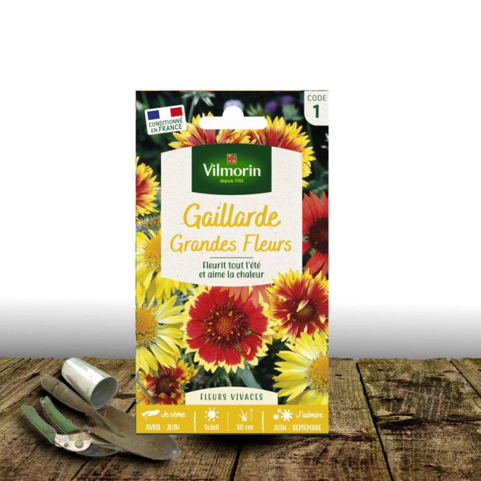 Graines de Gaillarde vivace variée - Vilmorin - Cdiscount Jardin