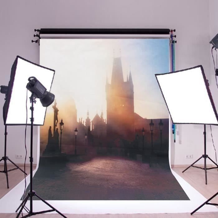 Toile de Fond Photographie Château Soleil Studio Affiche Decor En ...