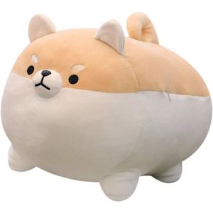 Peluche Shiba - Cdiscount