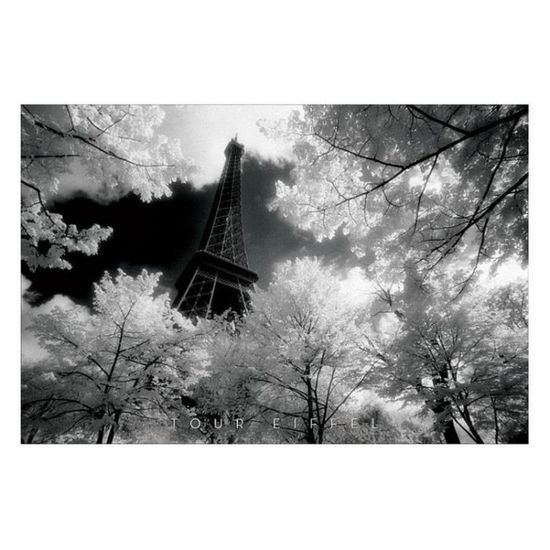 Tour EIFFEL - David NOTON - 61x91,5cm - AFFICHE - POSTER - Cdiscount Maison