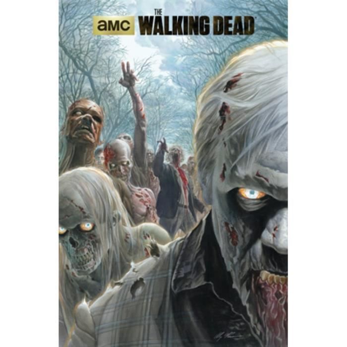 The Walking Dead Poster - Zombie Hoard (91 x 61… - Cdiscount Maison