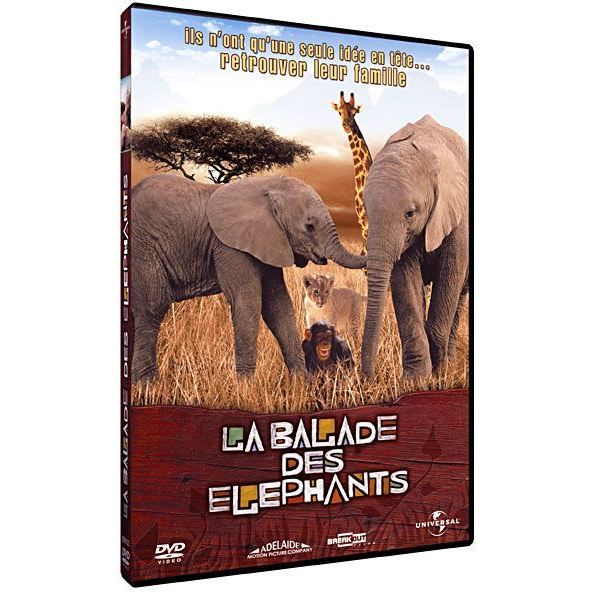 DVD La balade des éléphants - elephant tales - Cdiscount DVD