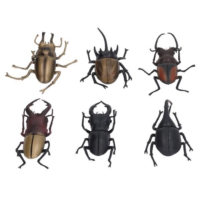 Jouet d'insecte DUO - VGEBY - Simulation insecte - 6 pièces - PVC non ...