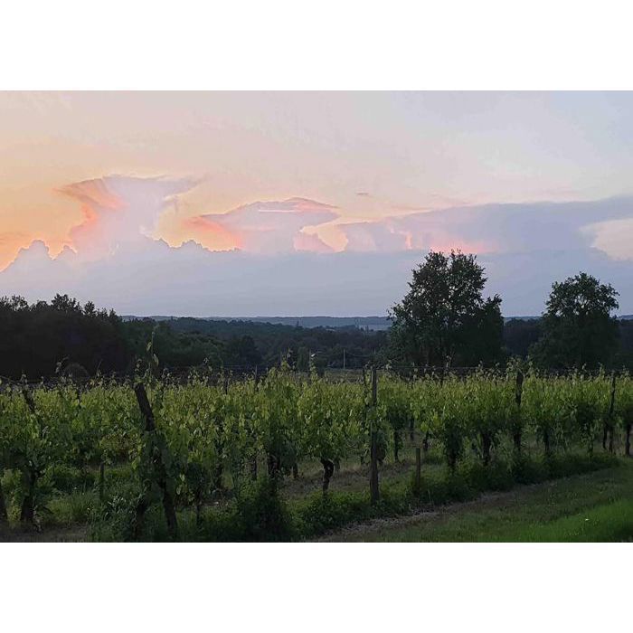 Château Chavrignac - Bordeaux Rouge AOC Bio - Or - Cuvée Bacchus 2022 ...