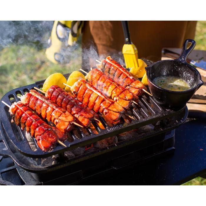 Lodge - Barbecue en fonte avec grille de cuisson - Compact - Style ...