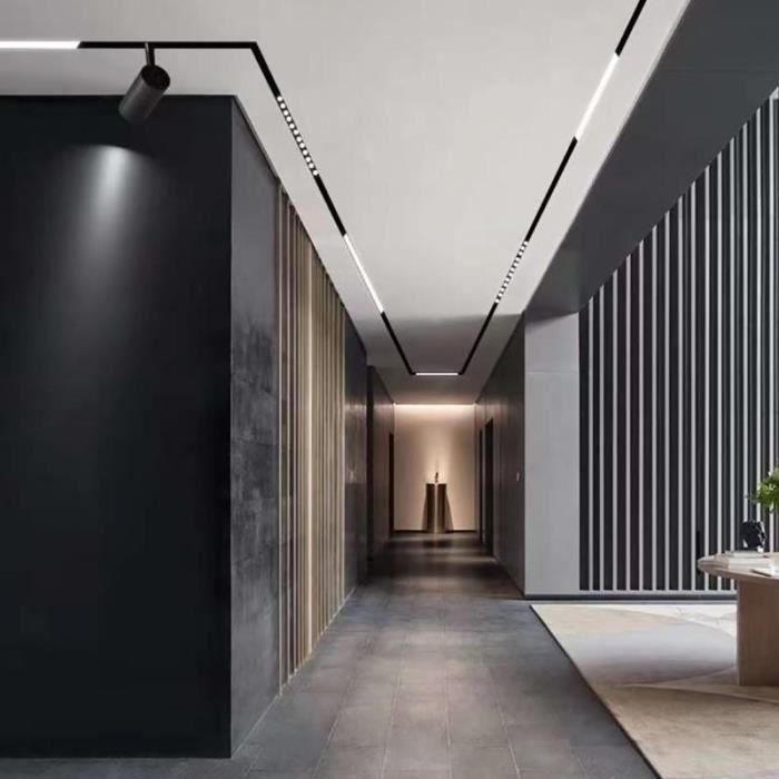 Projecteur LED sur Rail Magnétique 48V DC 12W Noir - Blanc Neutre 4200k ...