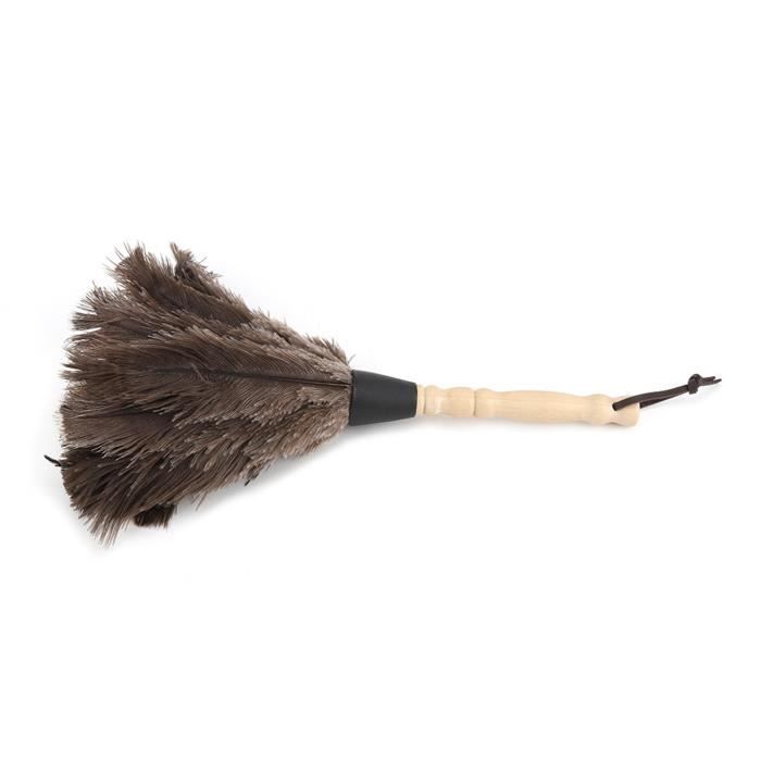 YOSOO Duster Plumeaux pour Nettoyer le Plumeau Fait Main en Plastique ...