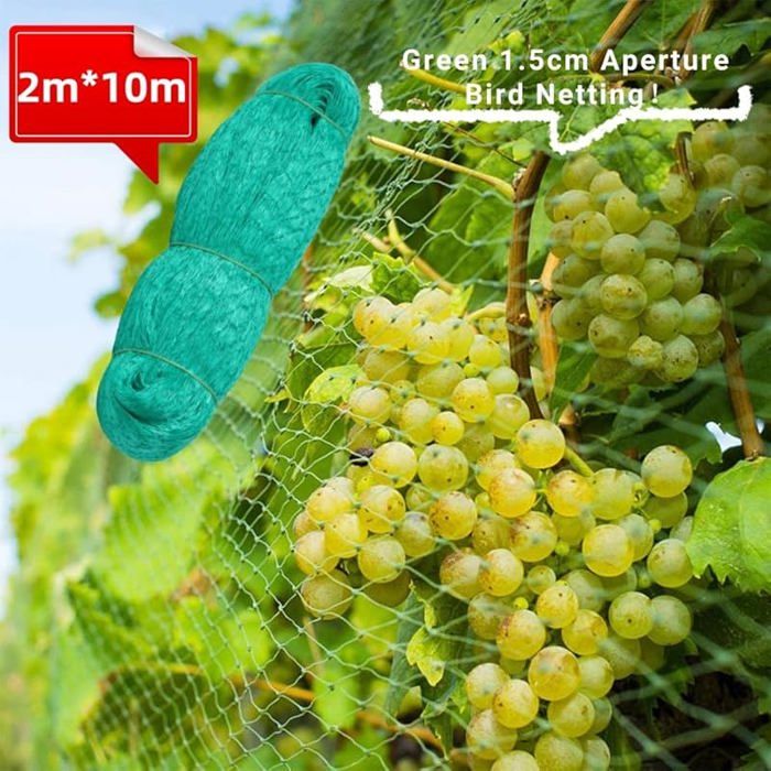 Anti-Bird Netting, 2 x 10 m Garden Protection Plants, Green - Cdiscount ...