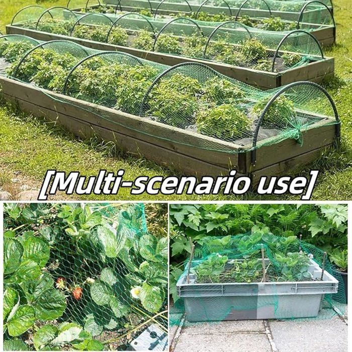 Anti-Bird Netting, 2 x 10 m Garden Protection Plants, Green - Cdiscount ...