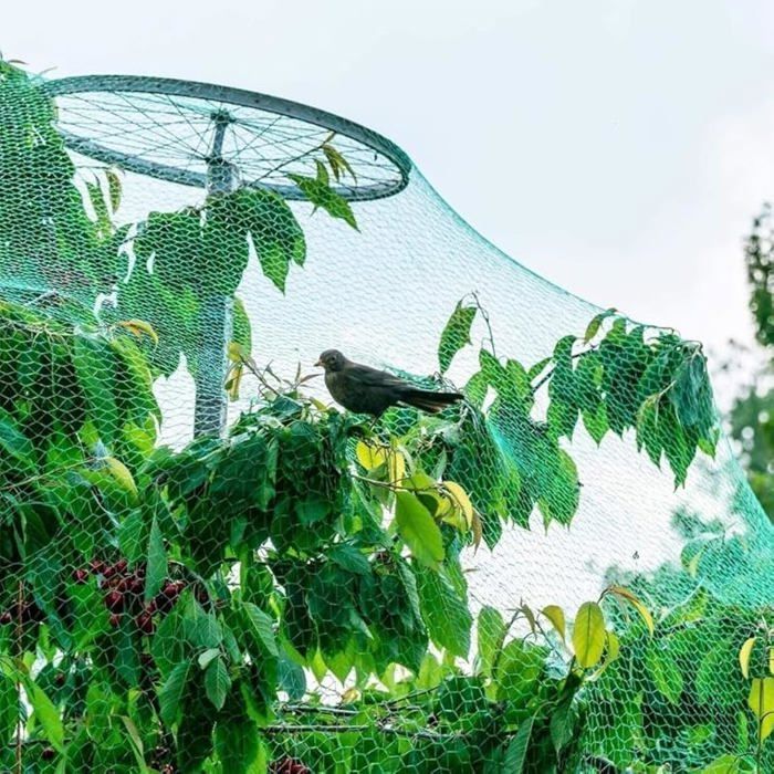 Anti-Bird Netting, 2 x 10 m Garden Protection Plants, Green - Cdiscount ...