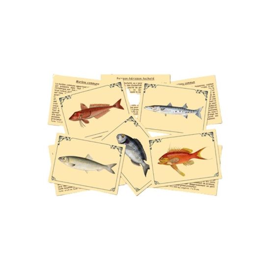 J'apprends à reconnaîtres les poissons - Cdiscount Librairie