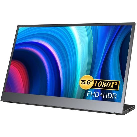 Écran Portable Pour PC 15,6 Pouces VESA IPS FHD 1080P 800:1 Eye Care ...
