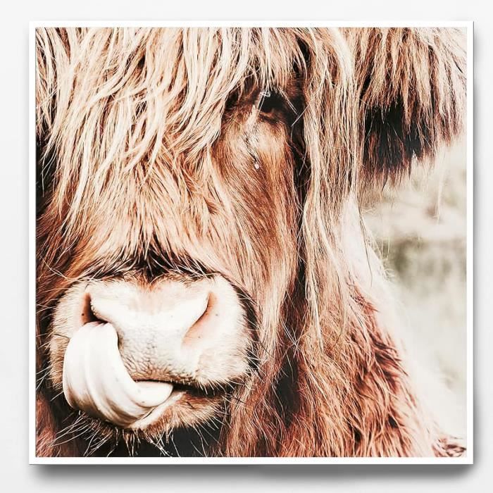 Impression Sur Toile De Vache Nordique Des Highland,Highland,Poster De ...