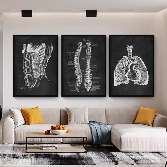 Affiche murale - Three Pictures - Anatomie humaine - Squelette ...
